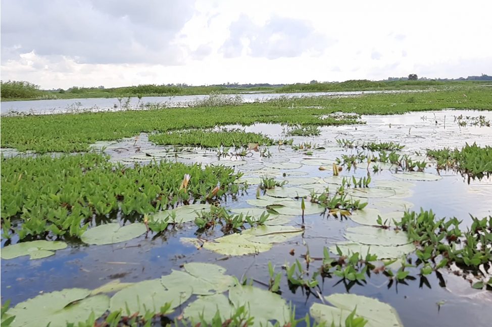 Arial Bill In The Infinite Land 136 Sq. Km Of This Heavenly Feelings ...